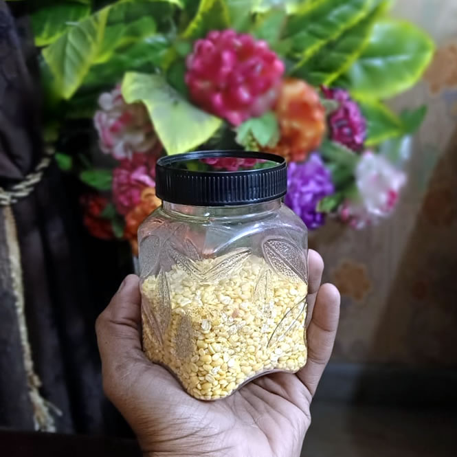 Buy Pack of 18 - Leaf Jars - Pure Plastic Jar Set at Sale Price | jars.pk